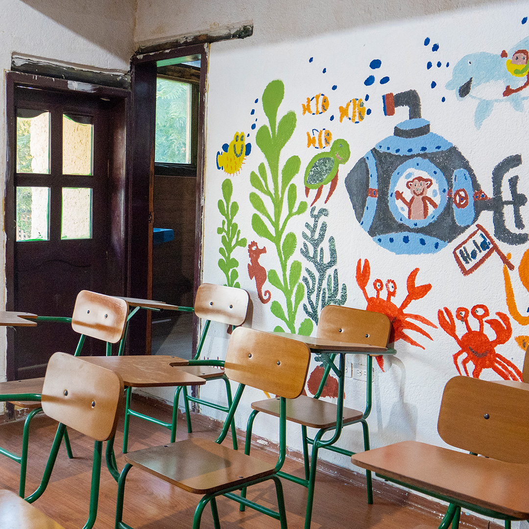 Inicio - Valley Vision School